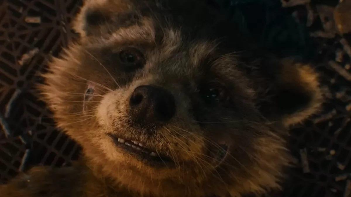 PETA says Guardians of the Galaxy 3 is Best Animal Rights Film of 2023 ...